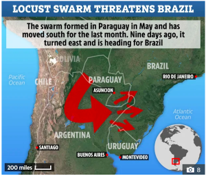 2020's Plague of Locusts Spreads to Indian Subcontinent and South ...