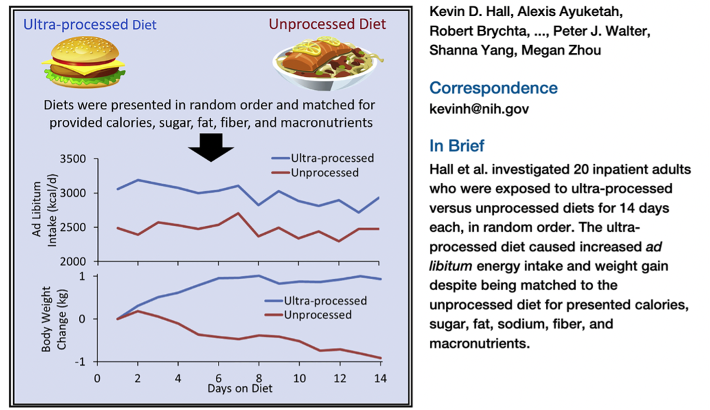 Ultra-Processed People in an Ultra-Processed World | naked capitalism