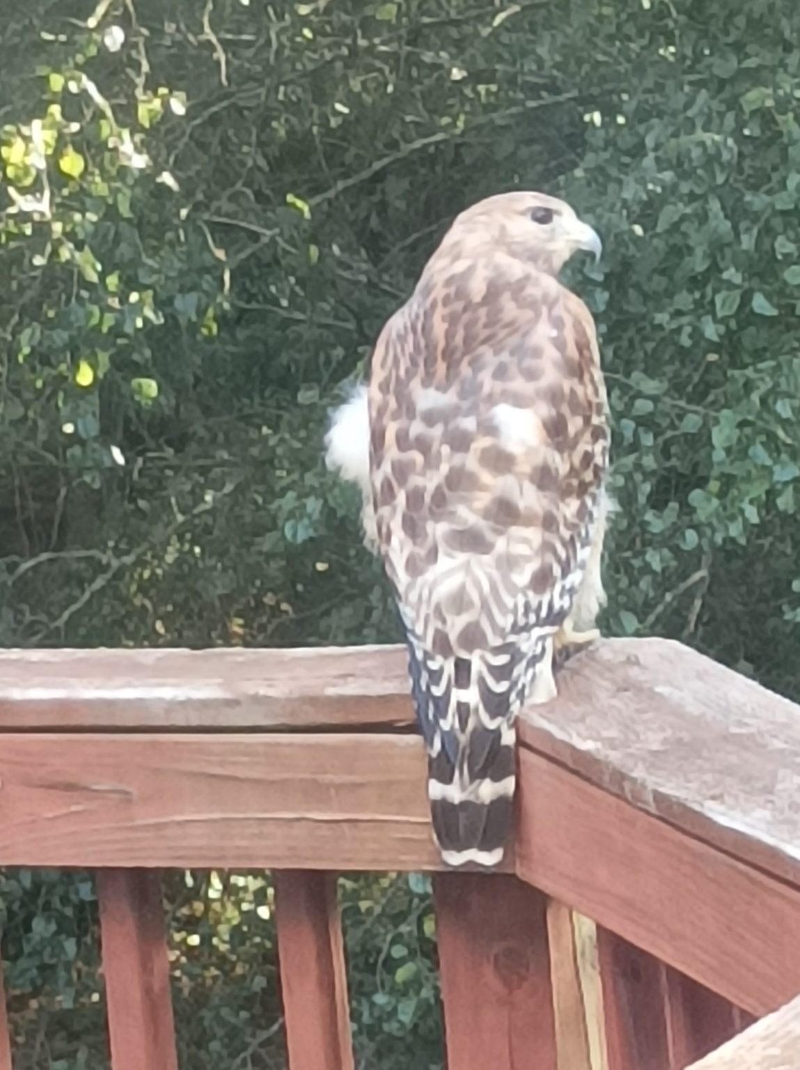 naked capitalism: Finance, economics, politics, power - Page 2 of 2121