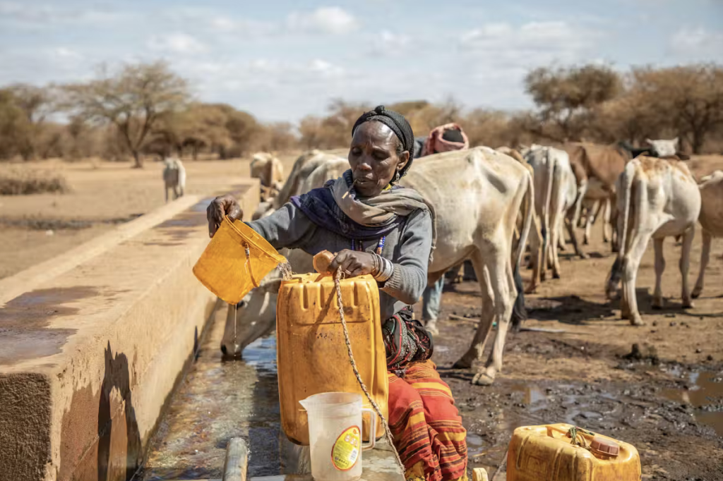 The World is in Water Bankruptcy, UN Scientists Report – Here’s What ...